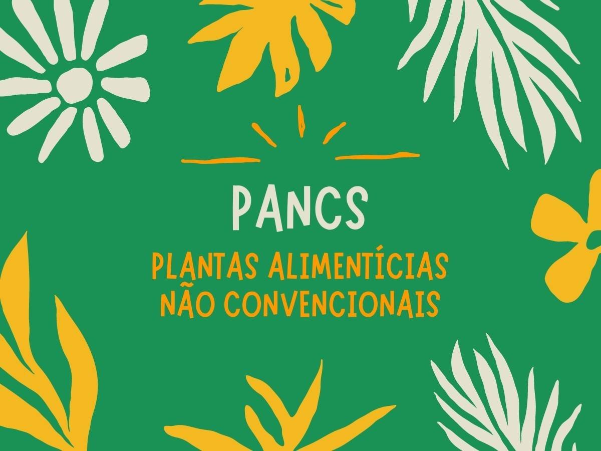 Você sabia que existem diversas plantas espalhadas pelos campos que ...
