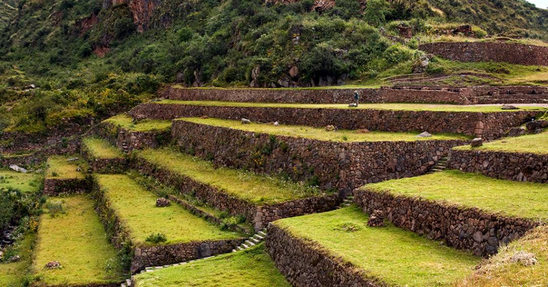 ‘Agricultura avançada do Império Inca: técnicas que fizeram o Peru ...